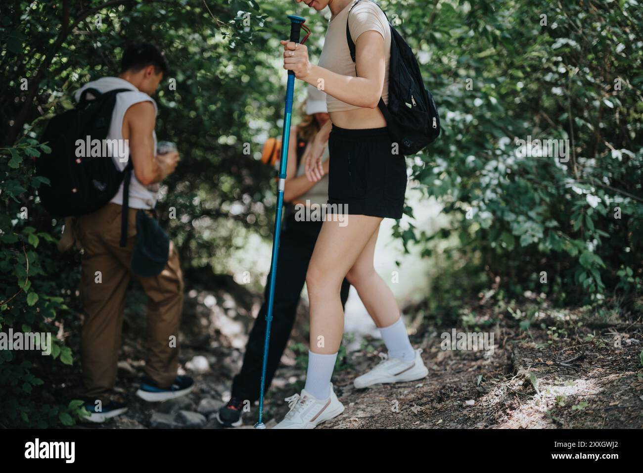 Group of friends hiking in a forest, exploring nature together Stock ...