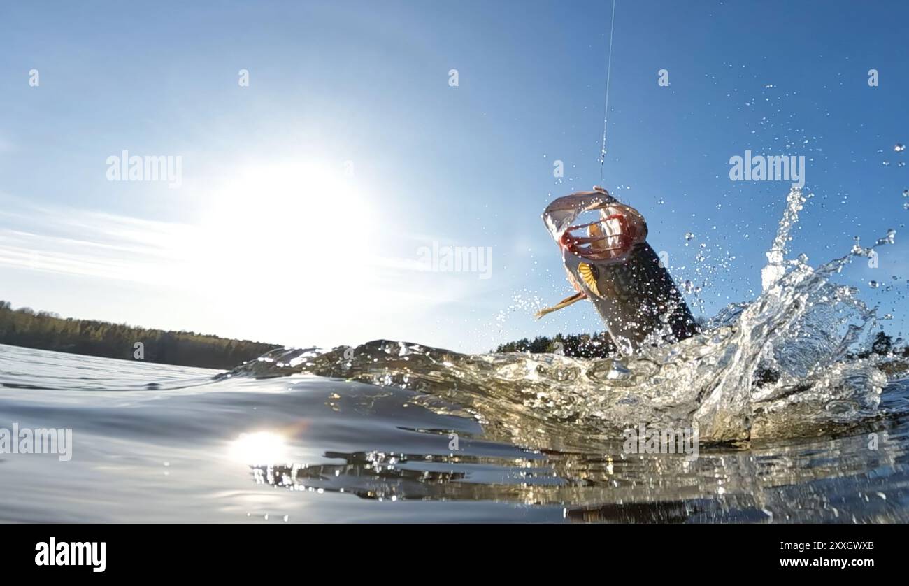 Pike fishing spring hi-res stock photography and images - Alamy