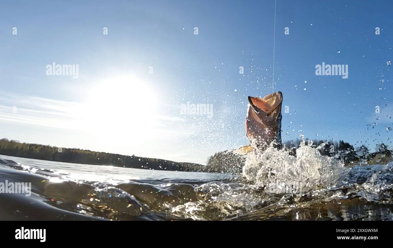 Pike fishing spring hi-res stock photography and images - Alamy