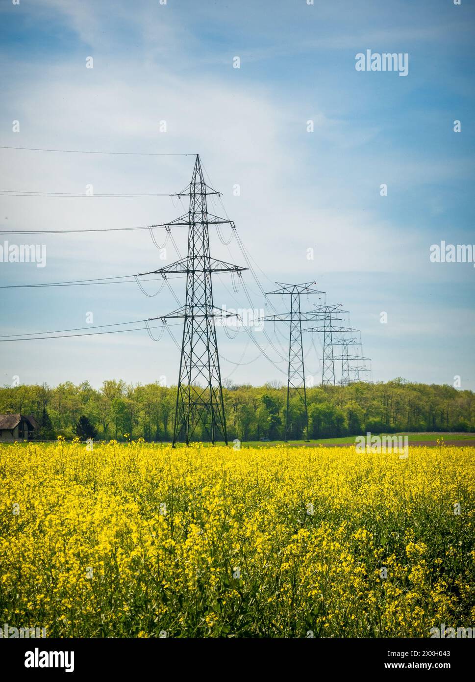 Utility poles in hi-res stock photography and images - Alamy