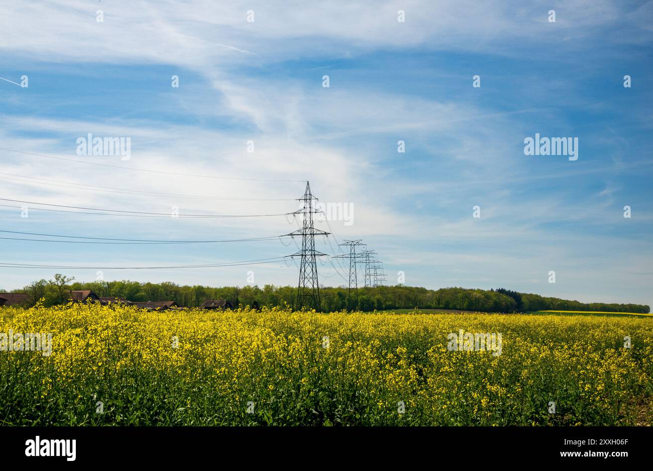 Transmission towers and colza yellow field Stock Photo - Alamy