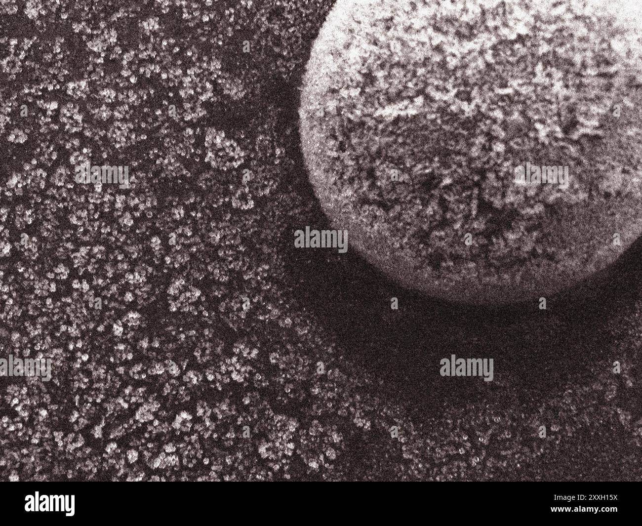 Details from the main gate of the Vigelands Park in Frogner in Oslo ...