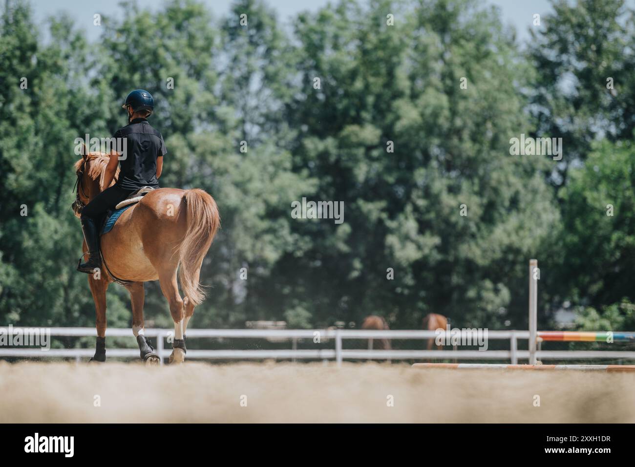 Equestrian riding a horse in an outdoor training arena with trees in ...