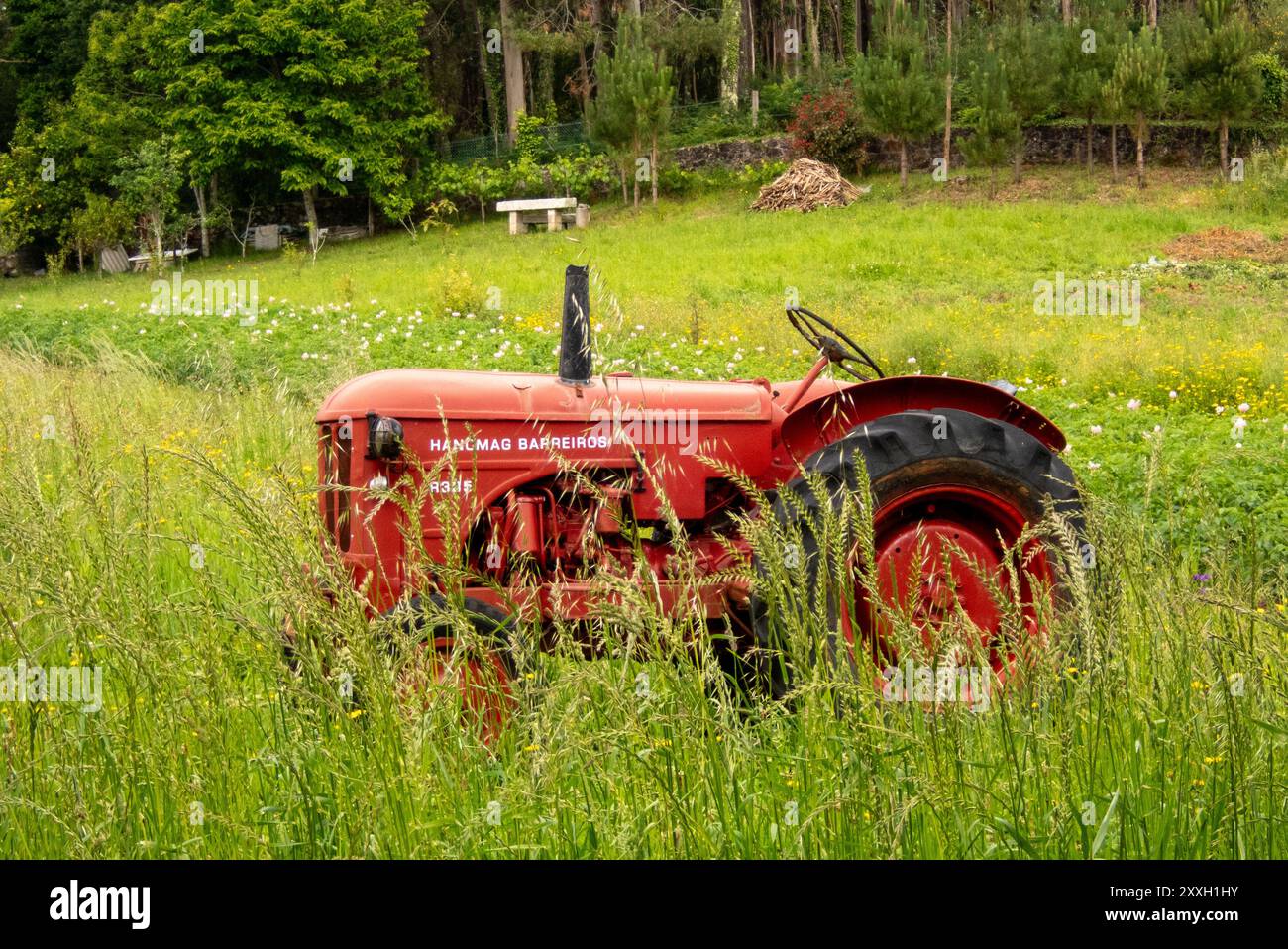 A vintage Hanomag Barreiros 335 tractor on farmland between Fisterra ...