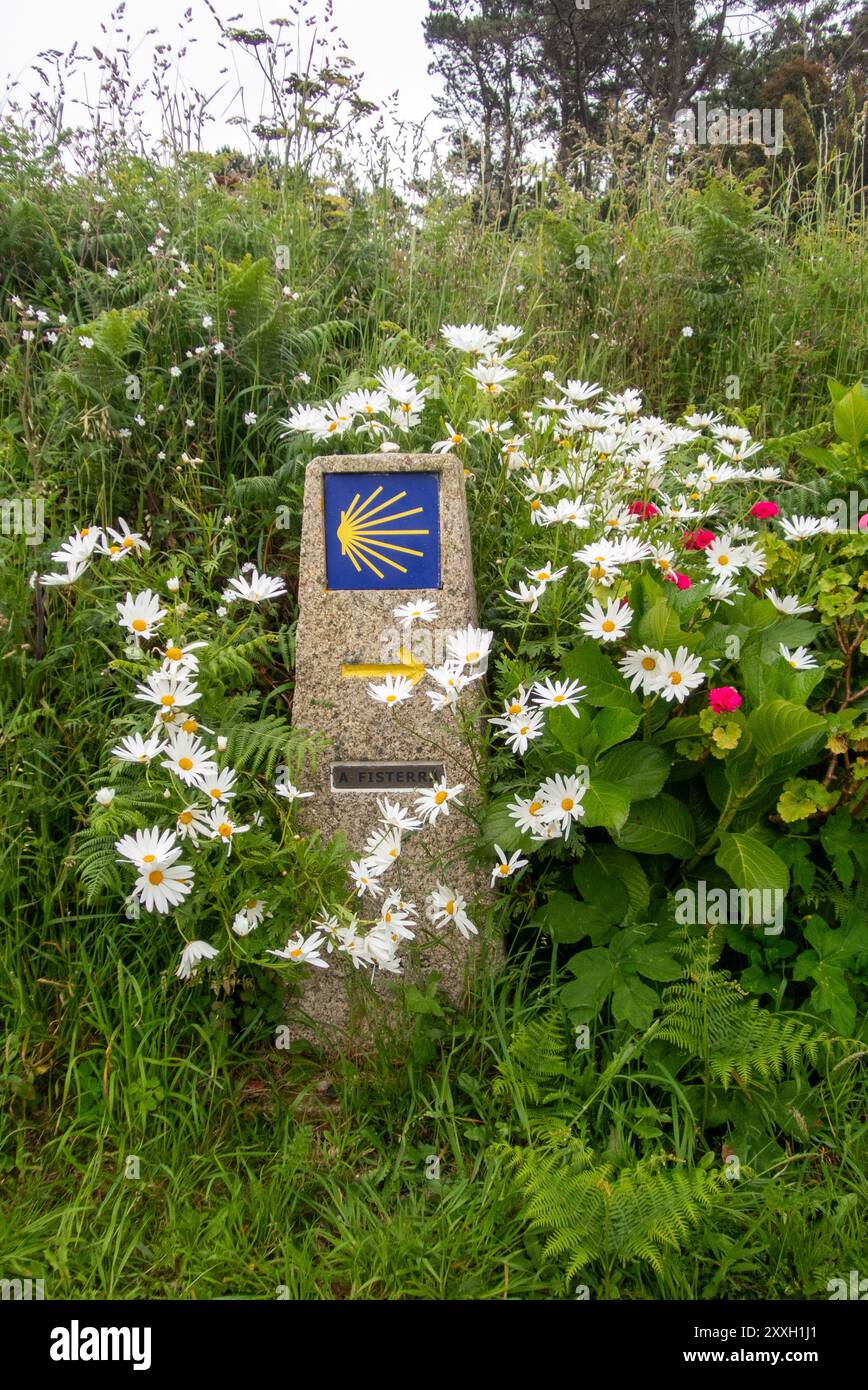 Flower power: A marker stone for the Camino or St. James Way between ...