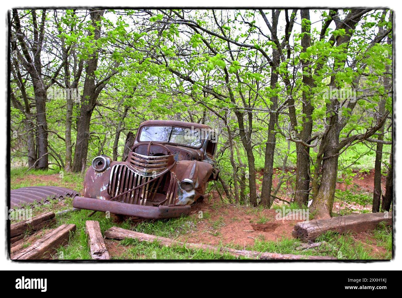 On the field Cut Out Stock Images & Pictures - Alamy