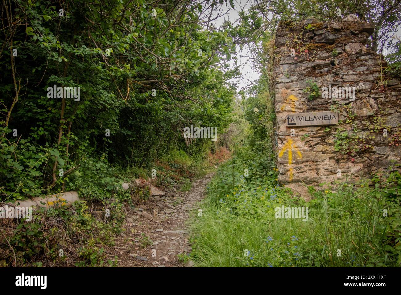 Yellow arrows mark the Camino de Invierno between Ponferrada and Las ...
