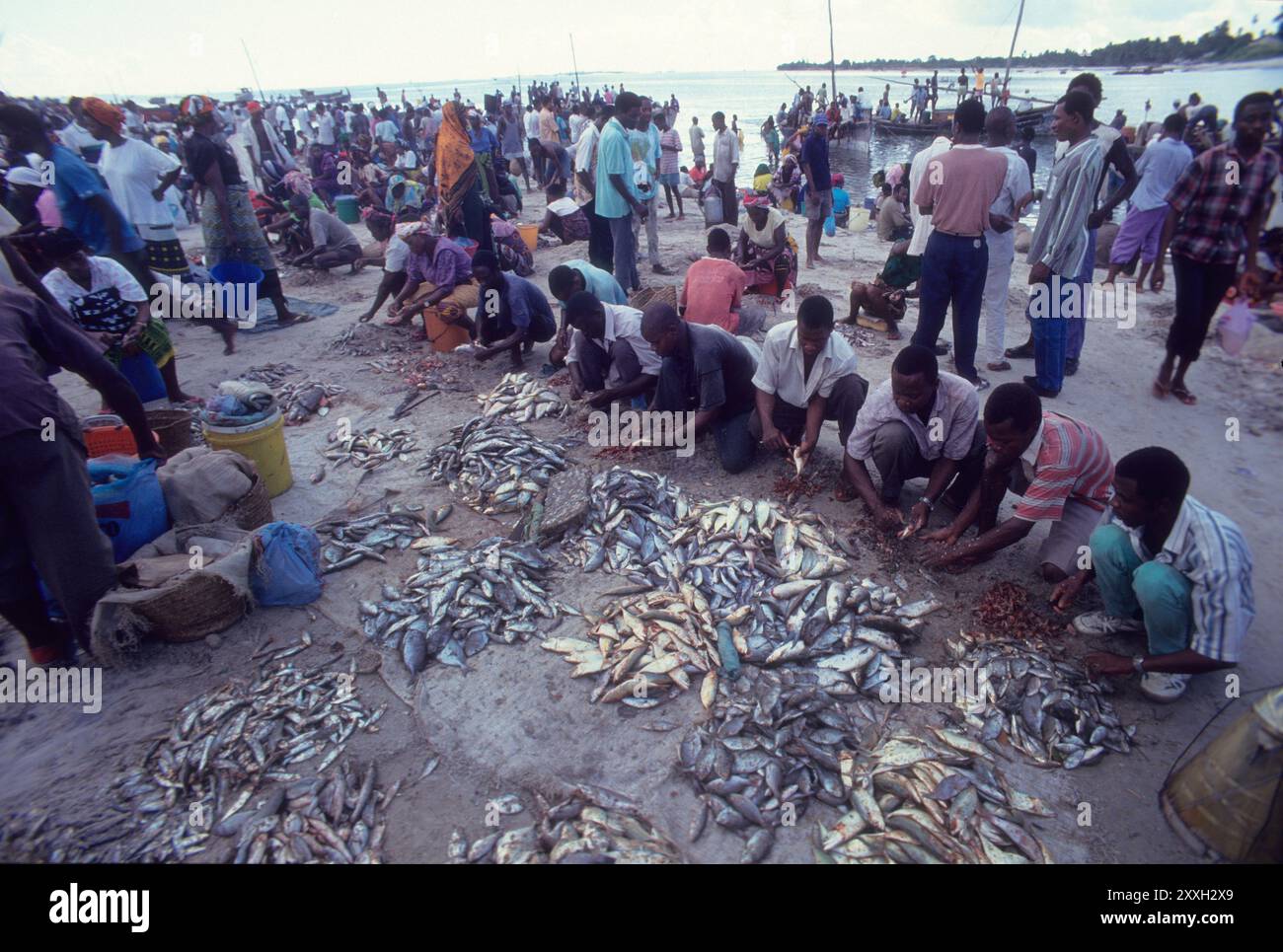 Fish market at Dar El Salam, Tanzania Stock Photo - Alamy
