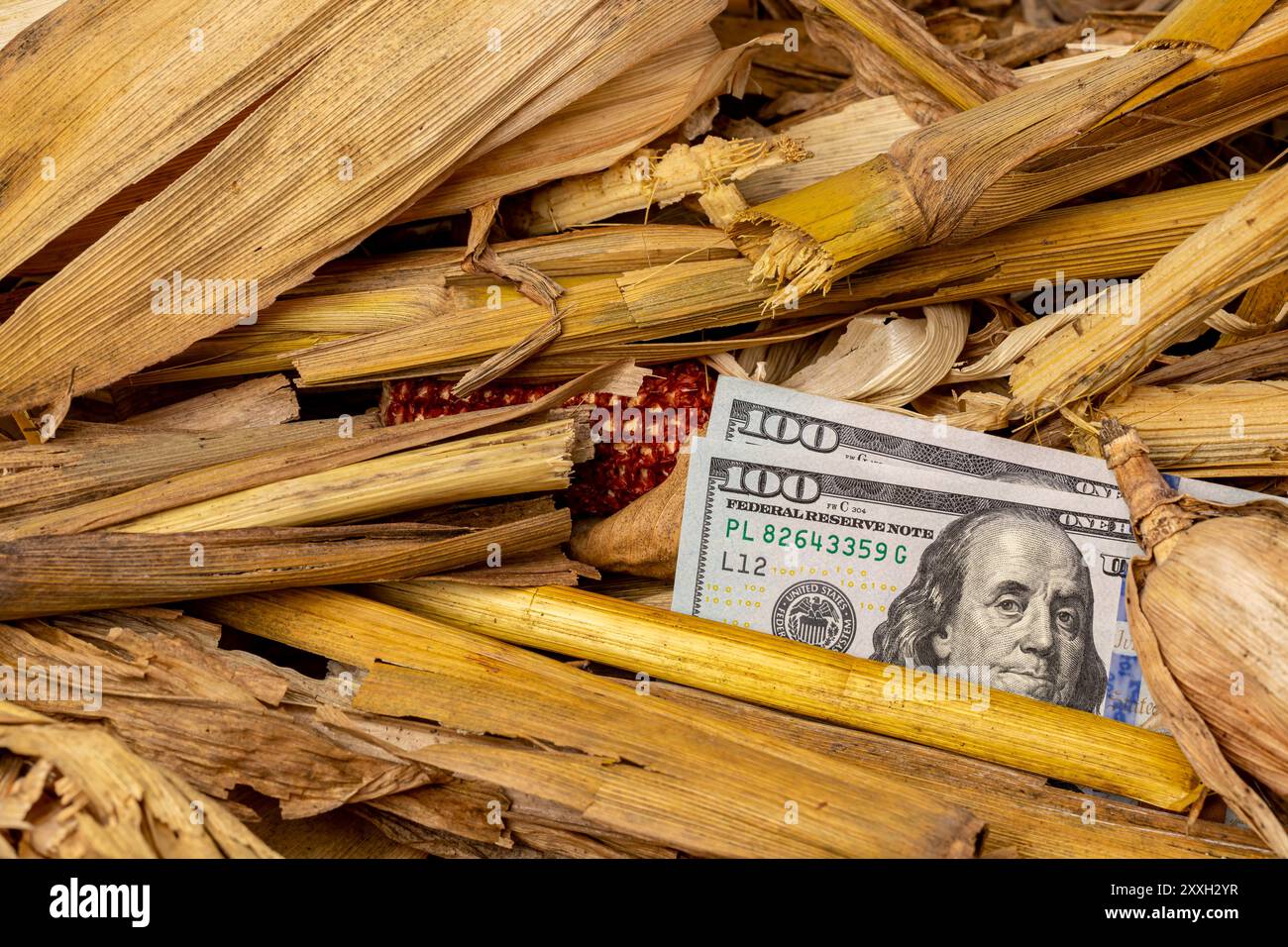 Corn stover with cash money. Biomass energy, ethanol and renewable ...