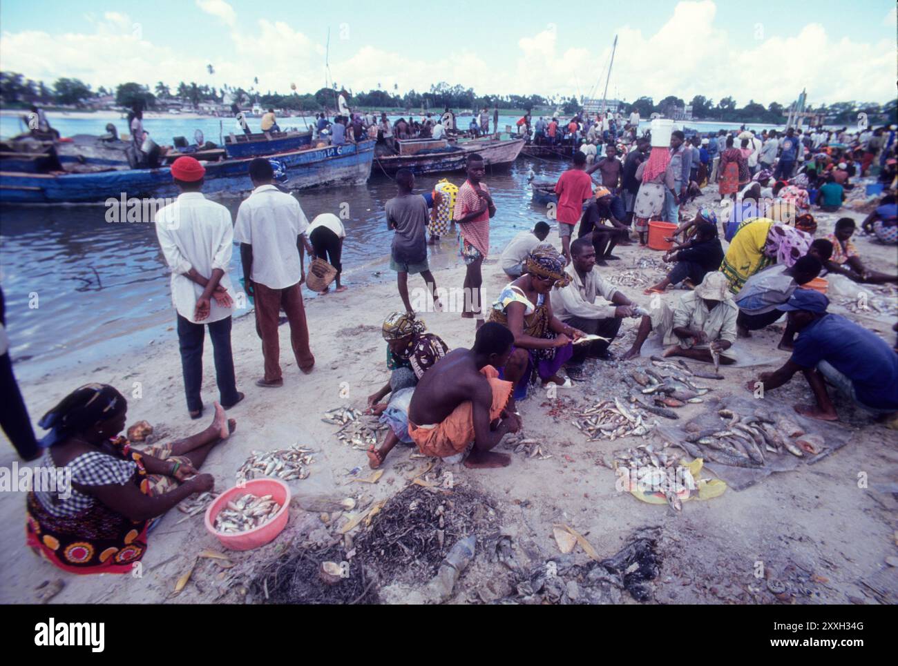 Fish market at Dar El Salam, Tanzania Stock Photo - Alamy