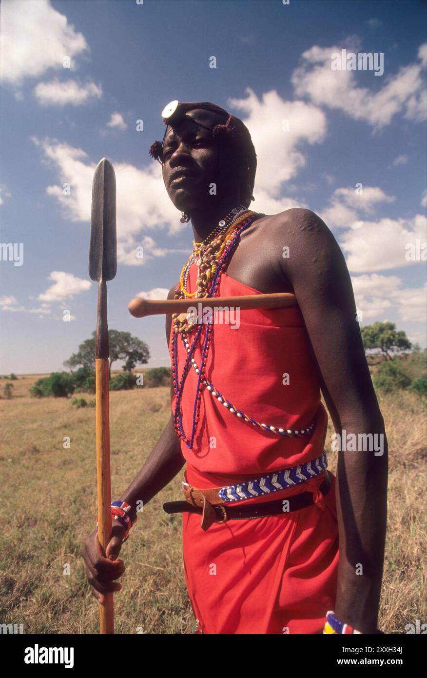 Masai warrior with spear, Masai Mara Game Reserve, Kenya Stock Photo ...