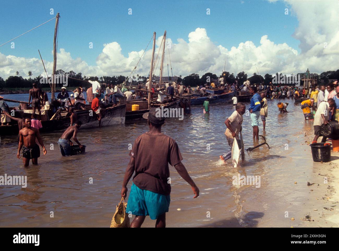 Fish market at Dar El Salam, Tanzania Stock Photo - Alamy