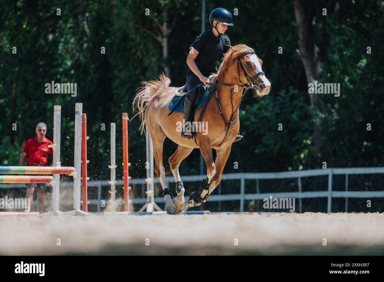Equestrian rider jumps over hurdle with horse during competition ...