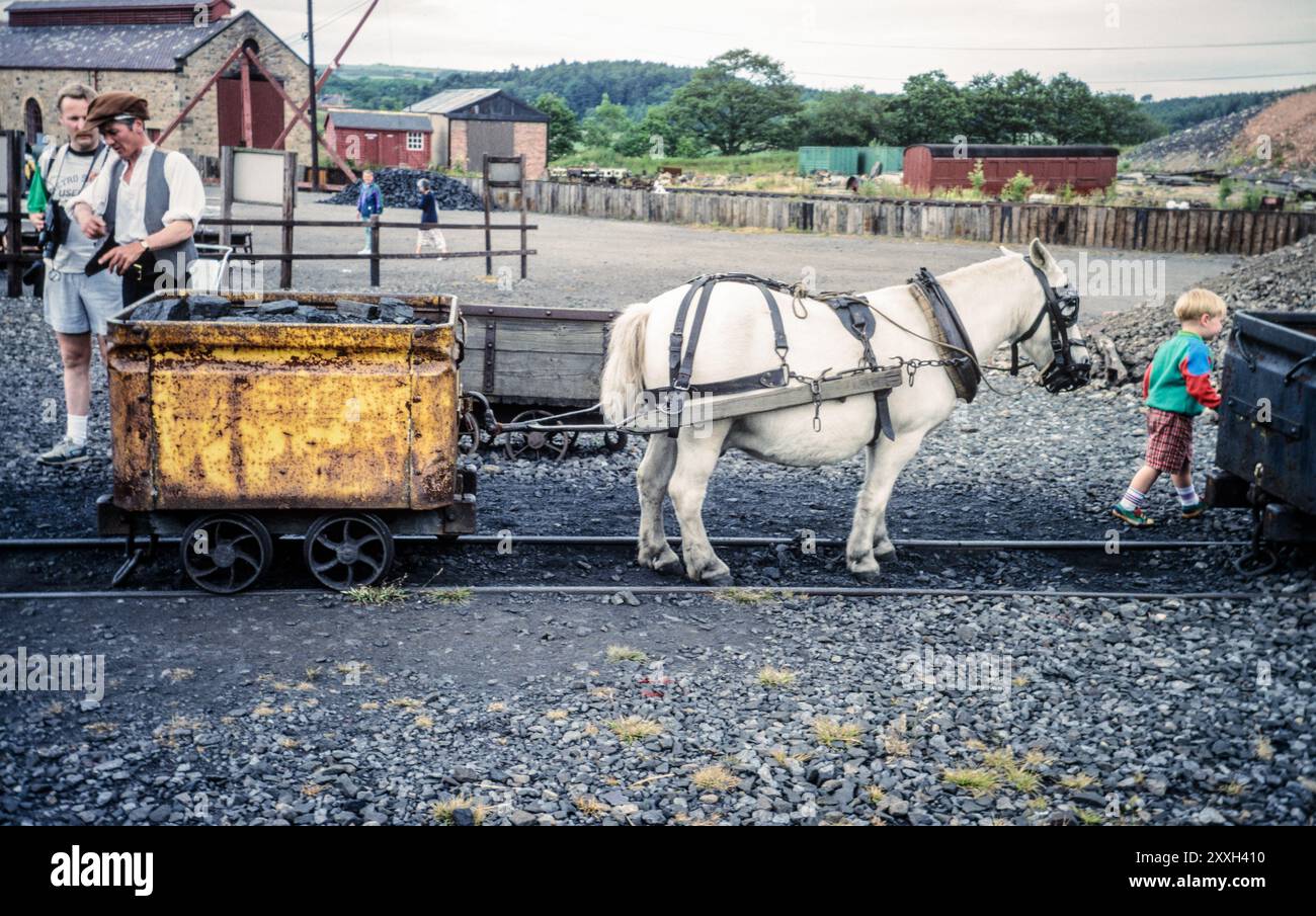 Pit pony mine hi-res stock photography and images - Alamy