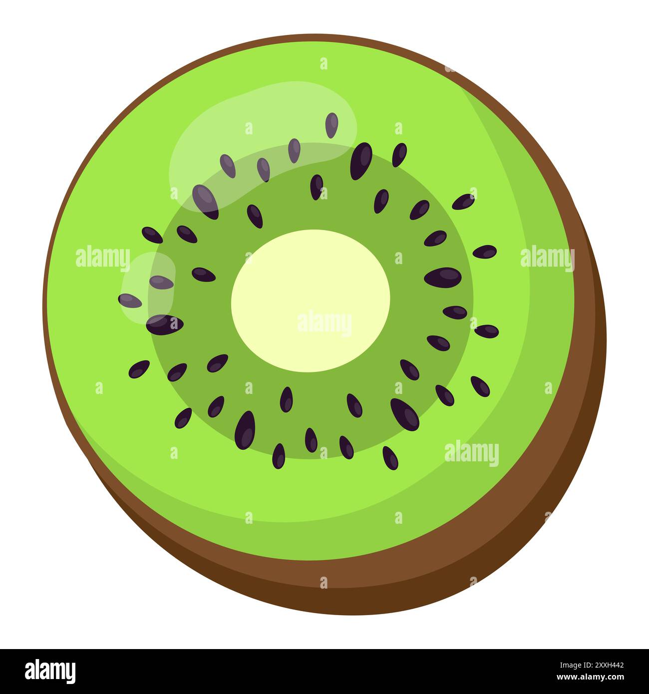 Kiwi vector illustration on white background Stock Vector Image & Art ...
