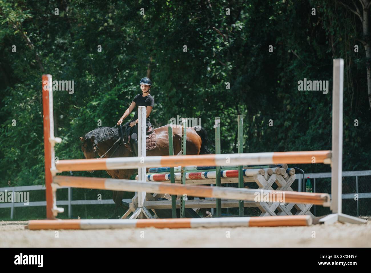 Equestrian riding a horse over a jump in an outdoor arena with lush ...