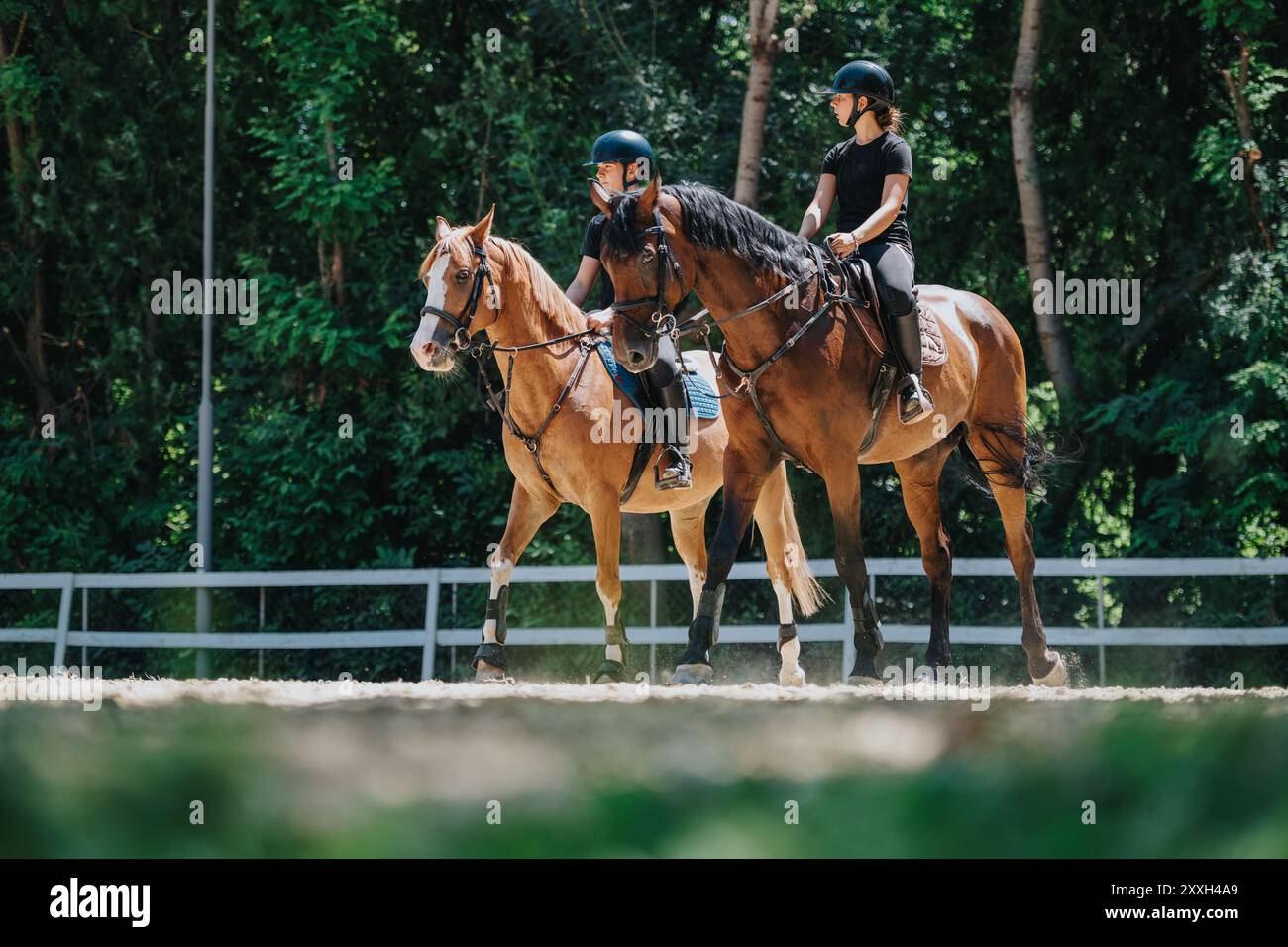 Two equestrians riding horses together in an outdoor arena surrounded ...