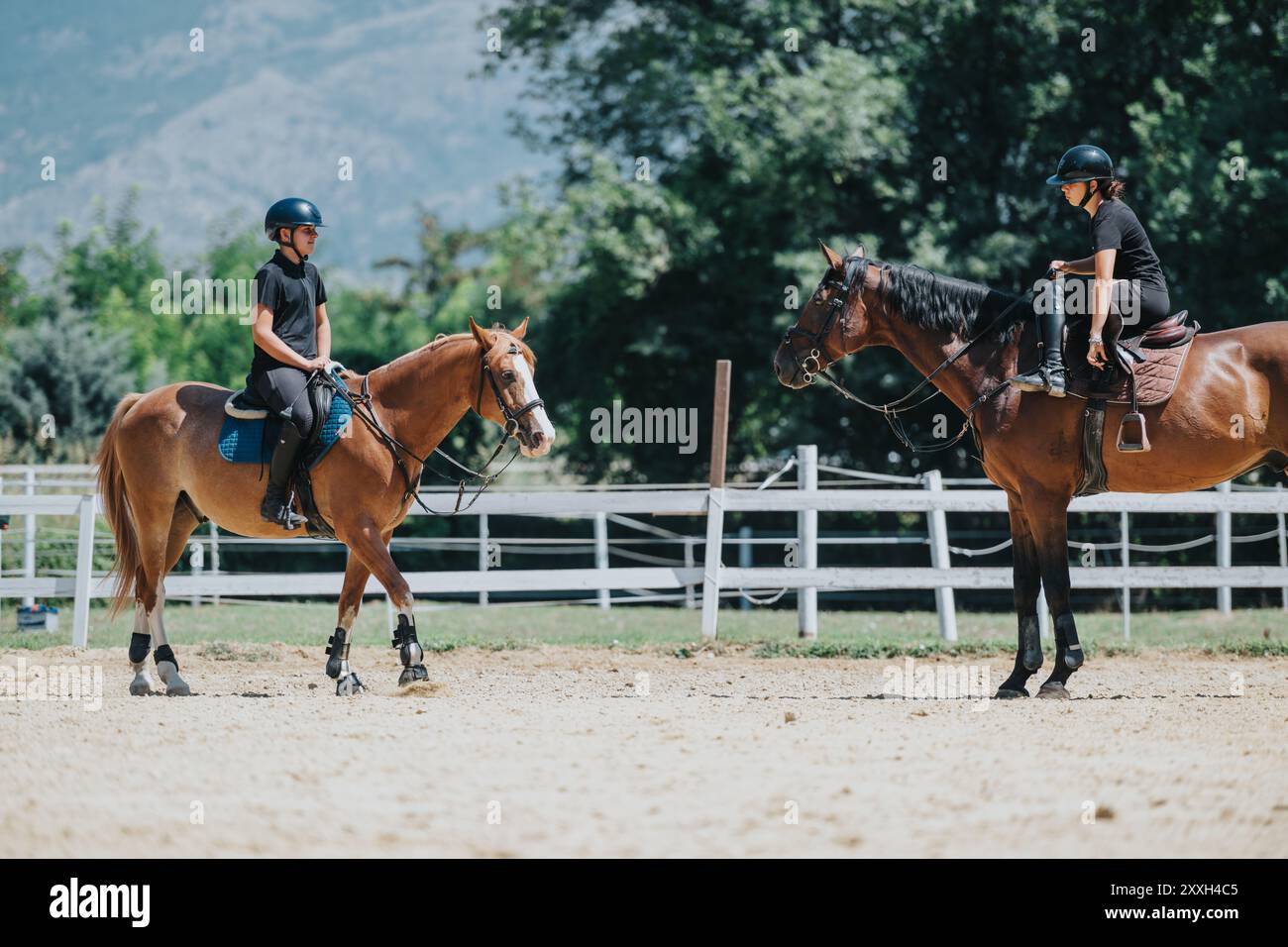 Two people riding horses in an outdoor arena on a sunny day Stock Photo ...