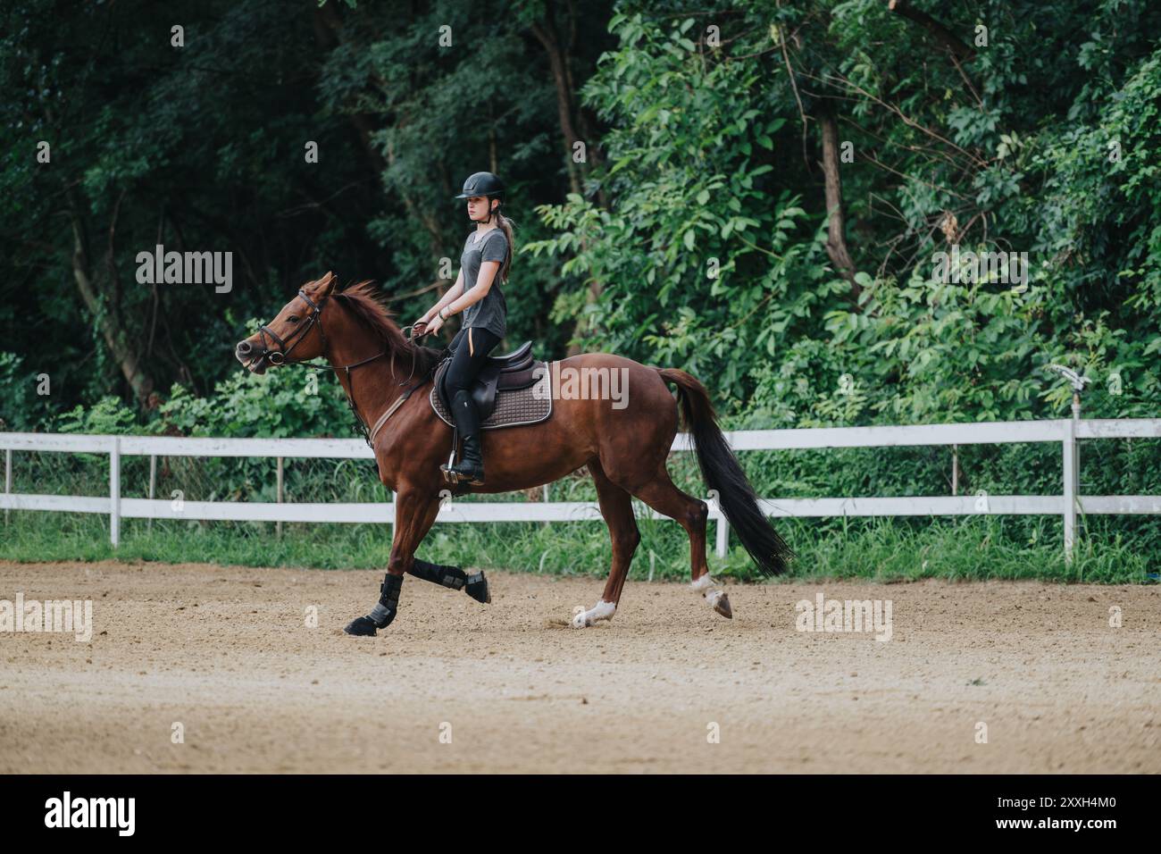 Girl confidently riding horse at ranch, highlighting equestrian skills ...