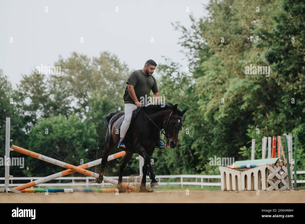 Man riding a horse while jumping over an obstacle in an equestrian ...