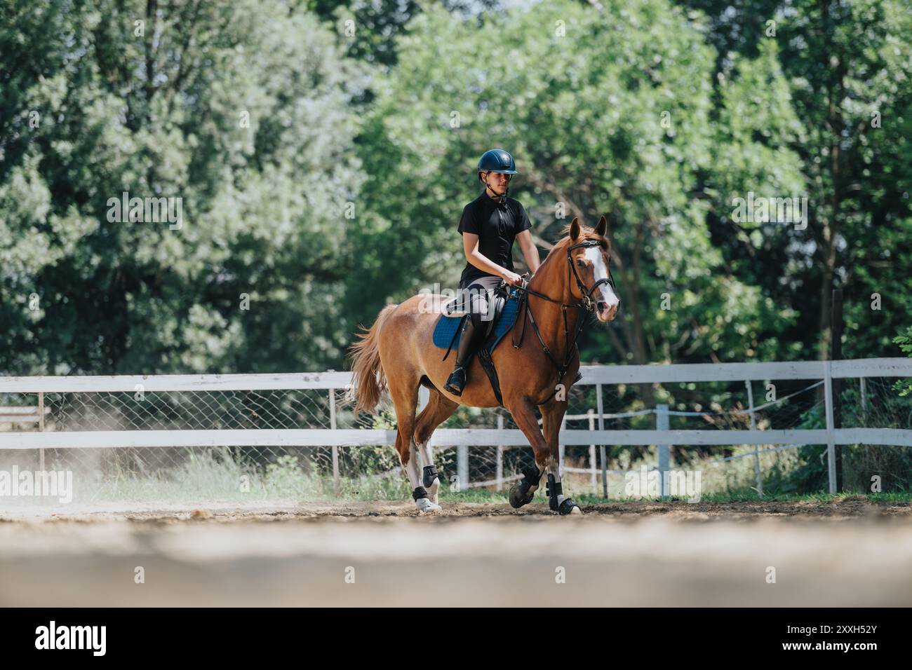 Woman riding a horse in an outdoor arena on a sunny day Stock Photo - Alamy