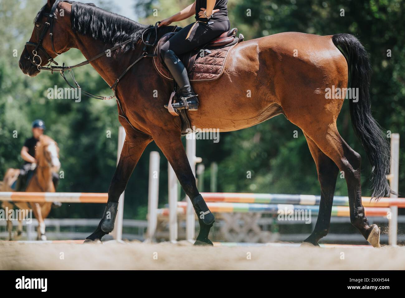 Horseback rider participating in equestrian training session on brown ...