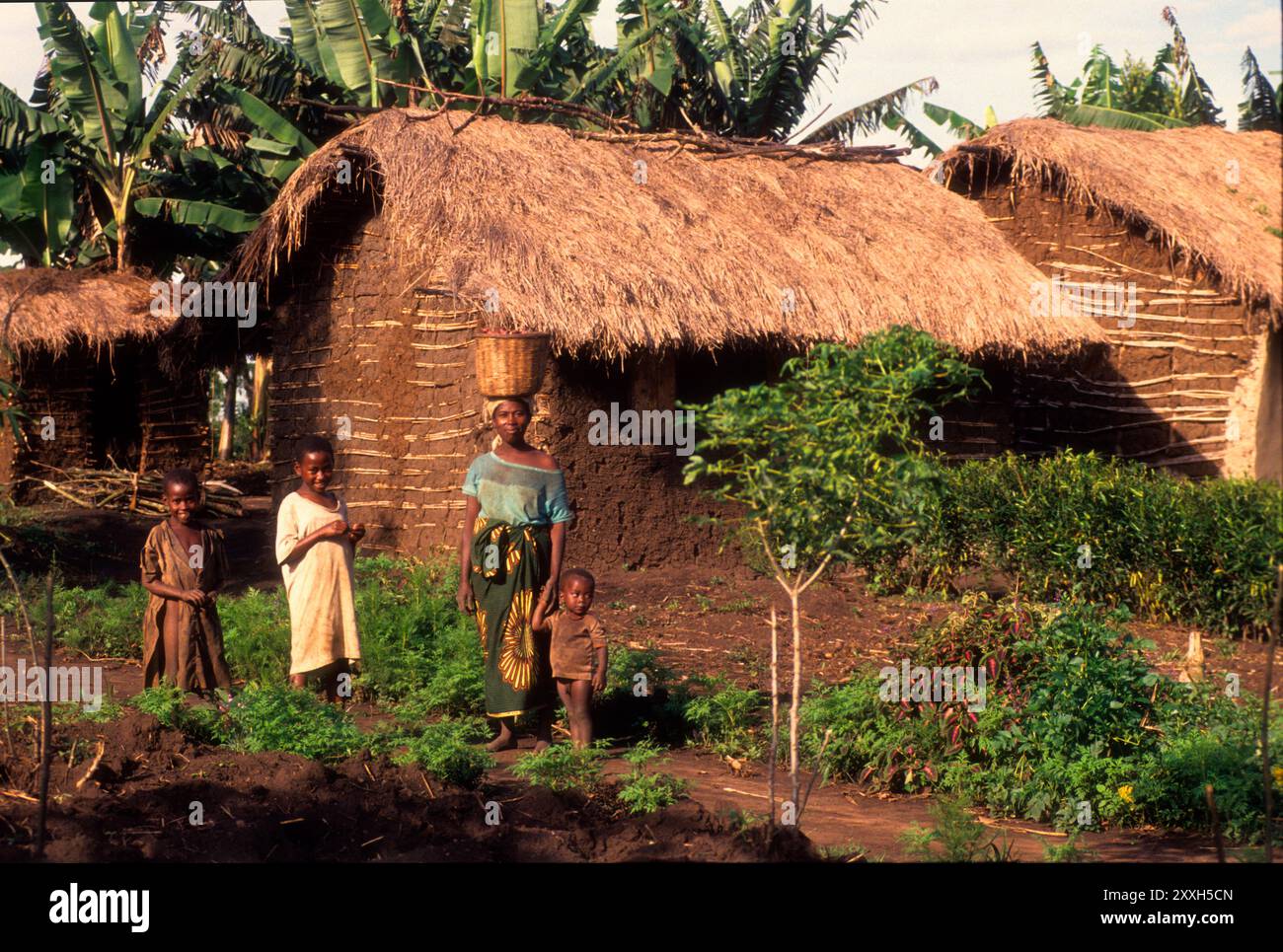 Living into the forest hi-res stock photography and images - Alamy