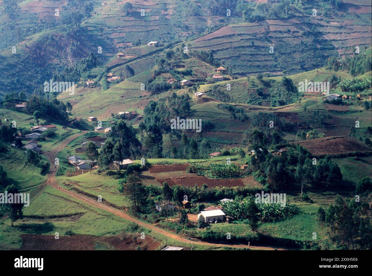 Interior of Uganda, hills on the way to Kisoro town Stock Photo - Alamy
