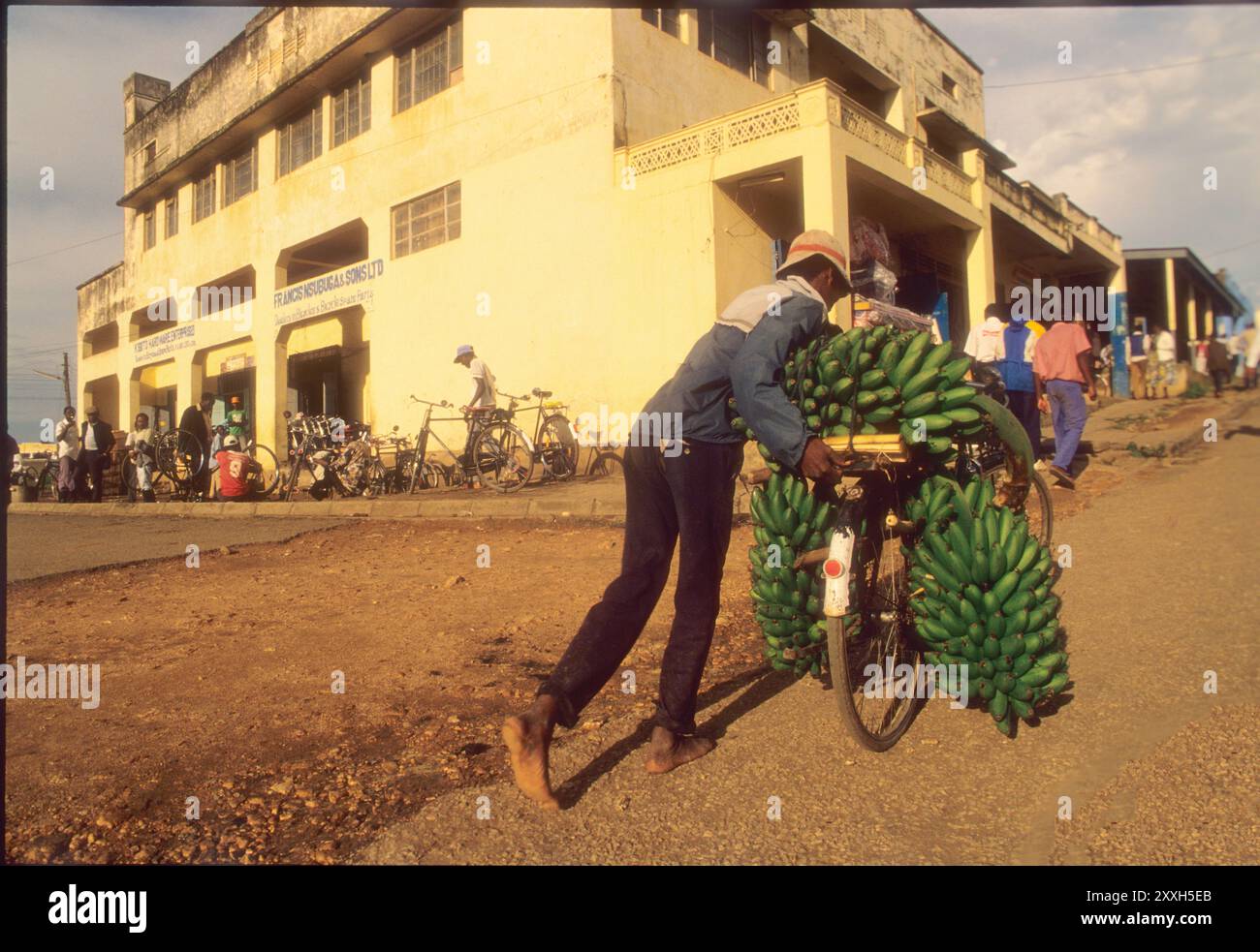 Man carrying a bunch of bananas on his bike at Fort Portal, Uganda ...