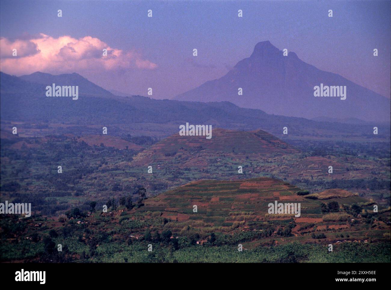 Virunga Volcanoes as seen from Kisoro town, left Mt Karisimbi and right ...