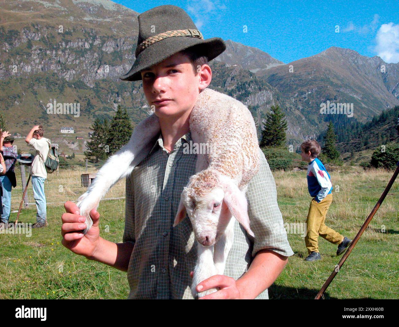 RECORD DATE NOT STATED sheep farming and breeding as an agricultural ...