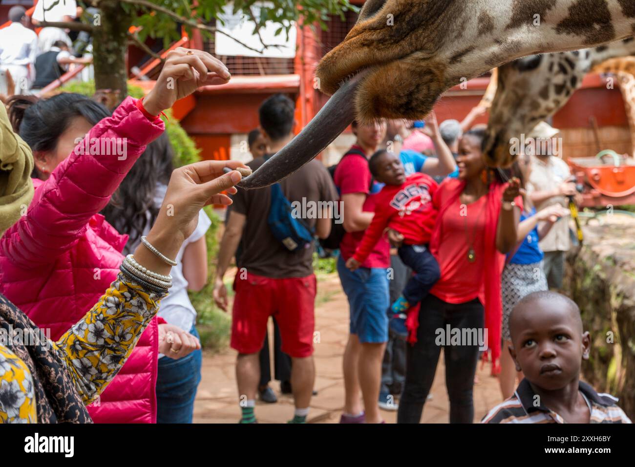 28 May 2016. Africa, Kenya, Langata, Nairobi. The African Fund for ...