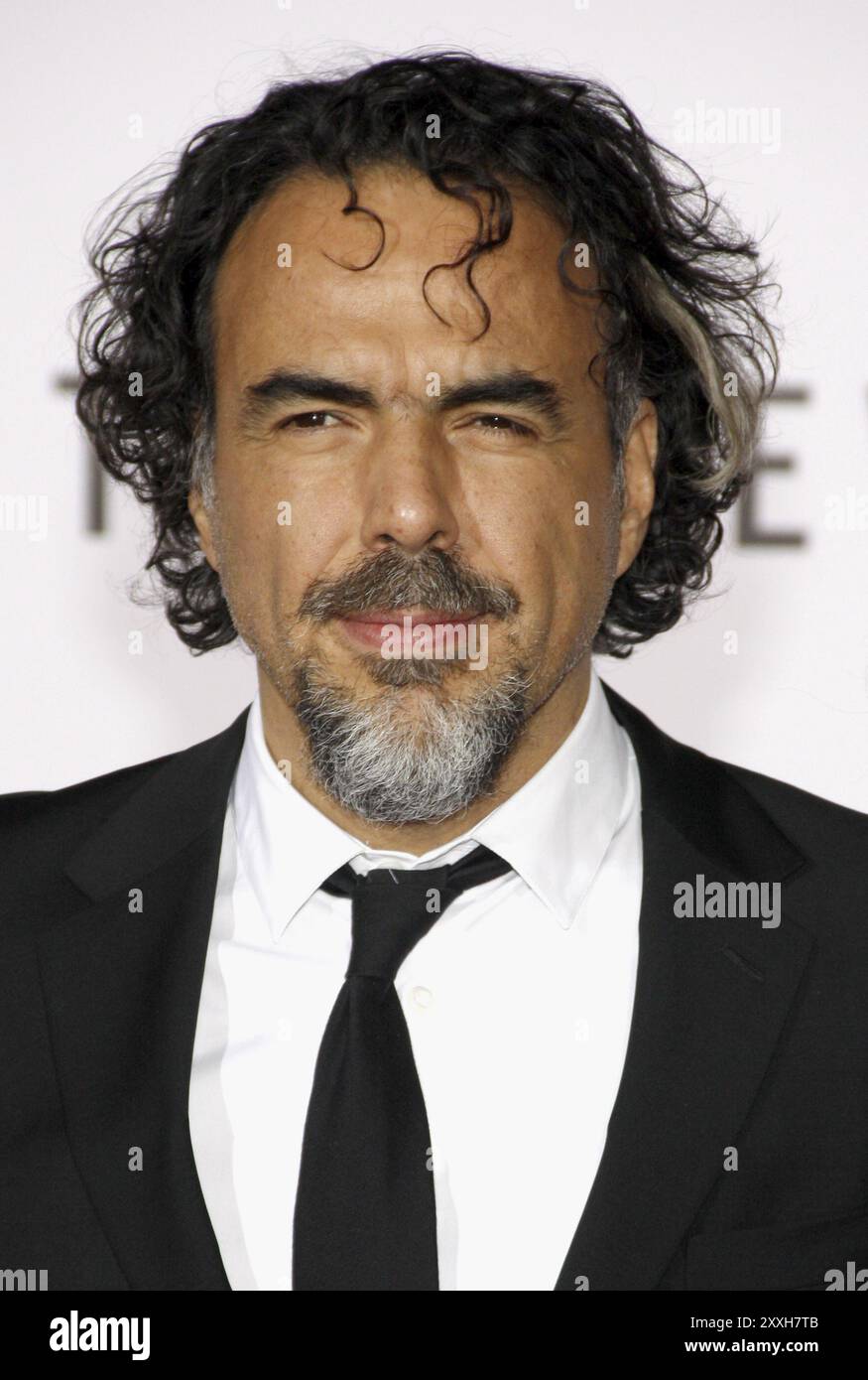 HOLLYWOOD, CA, Alejandro Gonzalez Inarritu at the Los Angeles premiere ...