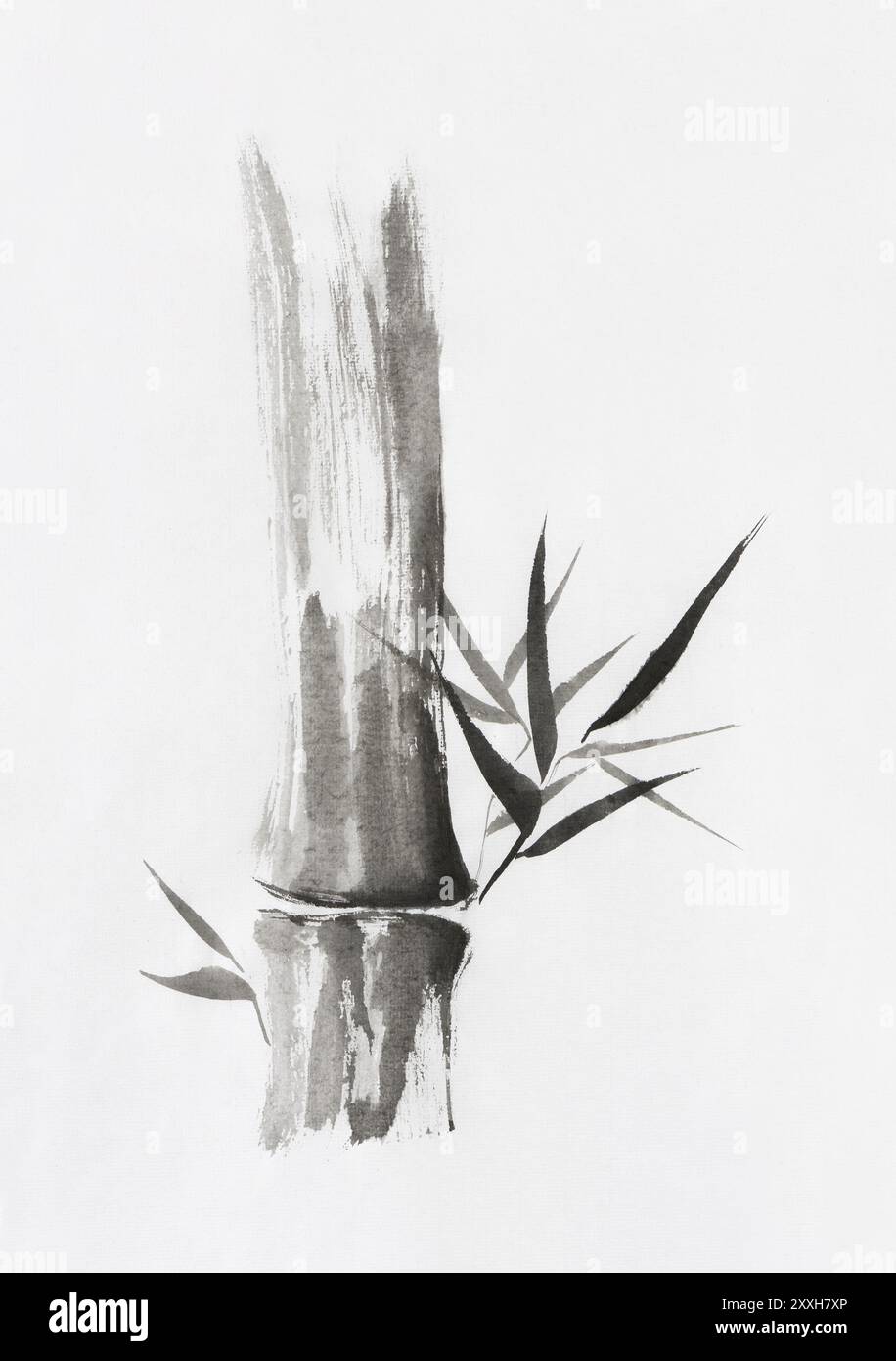 Bamboo Stalk Drawing