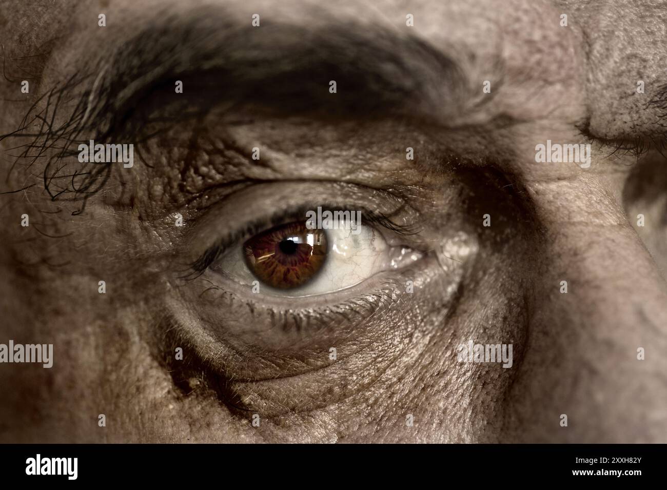 Closeup view human eye hi-res stock photography and images - Alamy