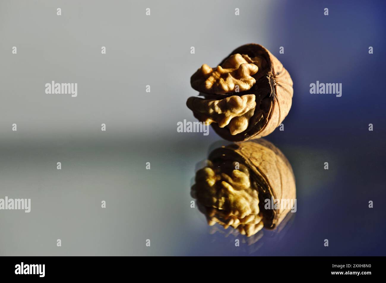 Cracked walnut on a reflective surface Stock Photo - Alamy