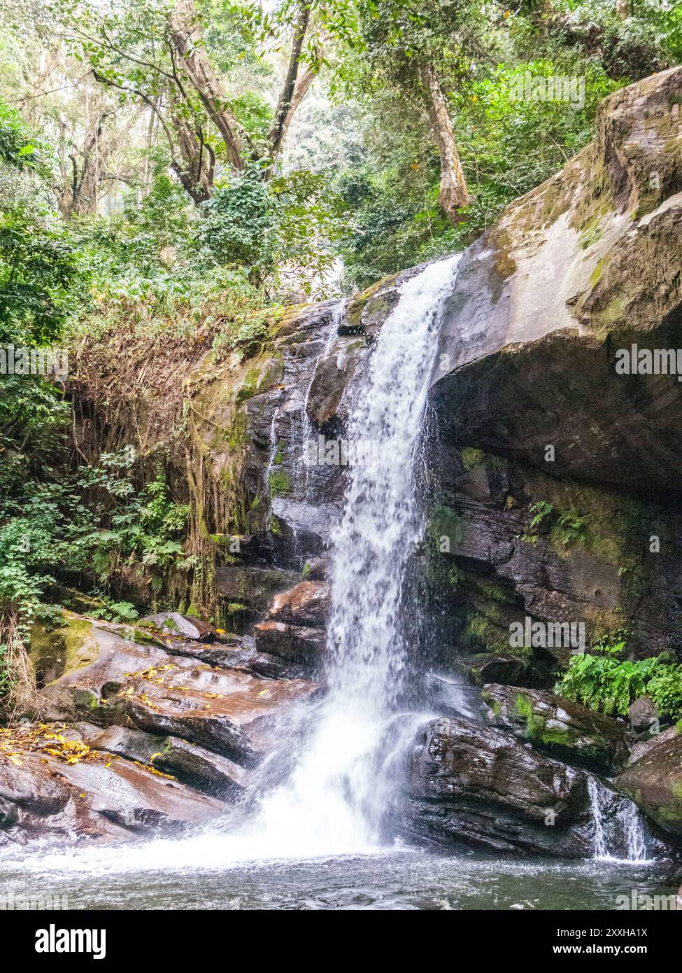 scenic UDZUNGWA NATIONAL PARK with waterfall in Tanzania Stock Photo ...
