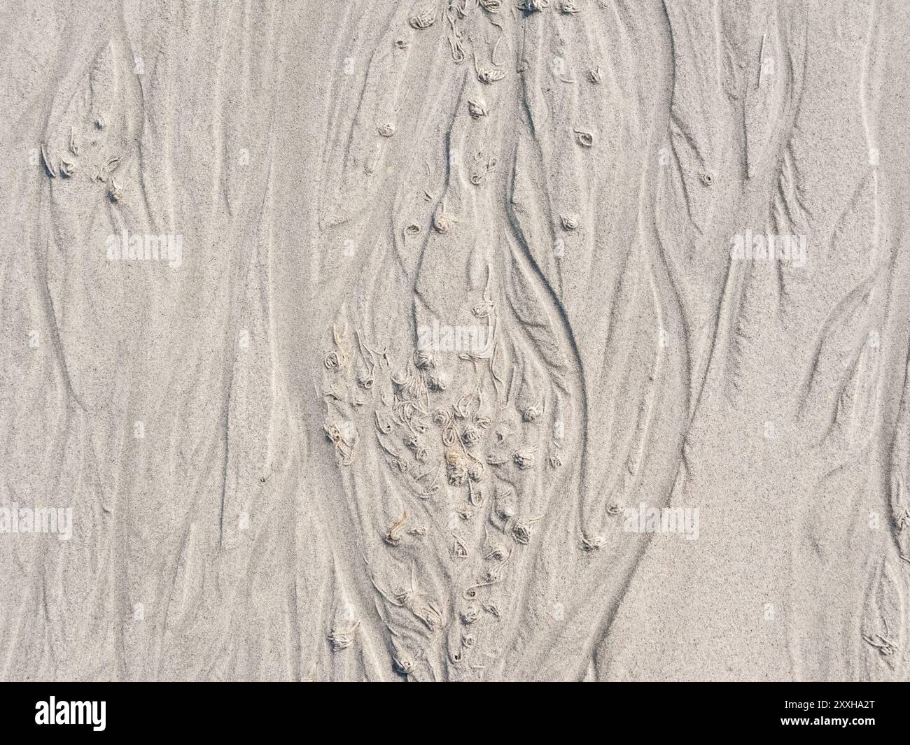 beautiful pattern as nature background of wet sand at the beach Stock ...