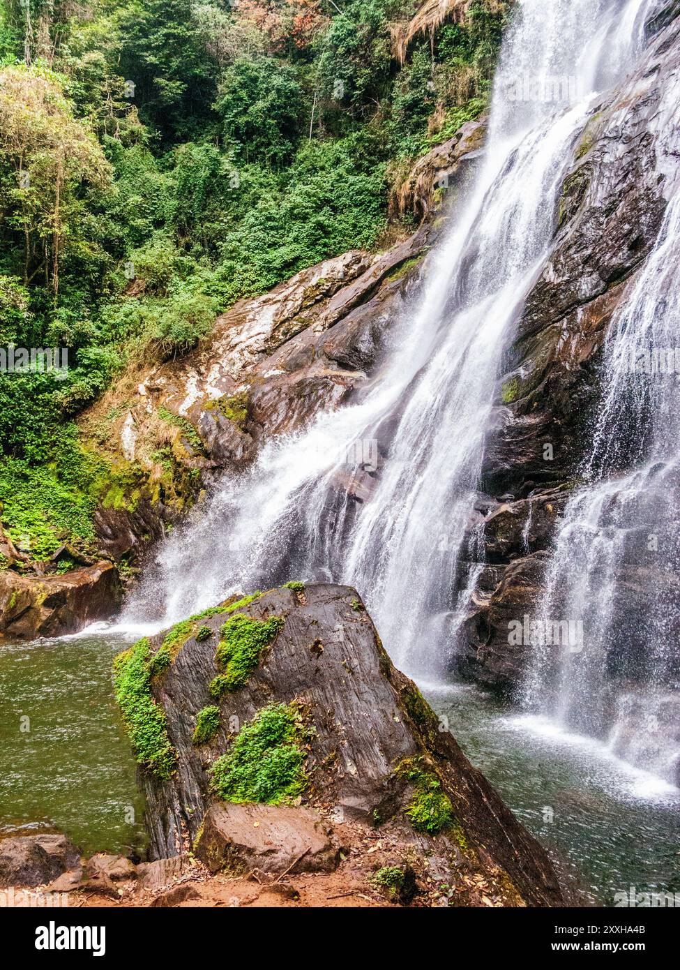 scenic UDZUNGWA NATIONAL PARK with waterfall in Tanzania Stock Photo ...