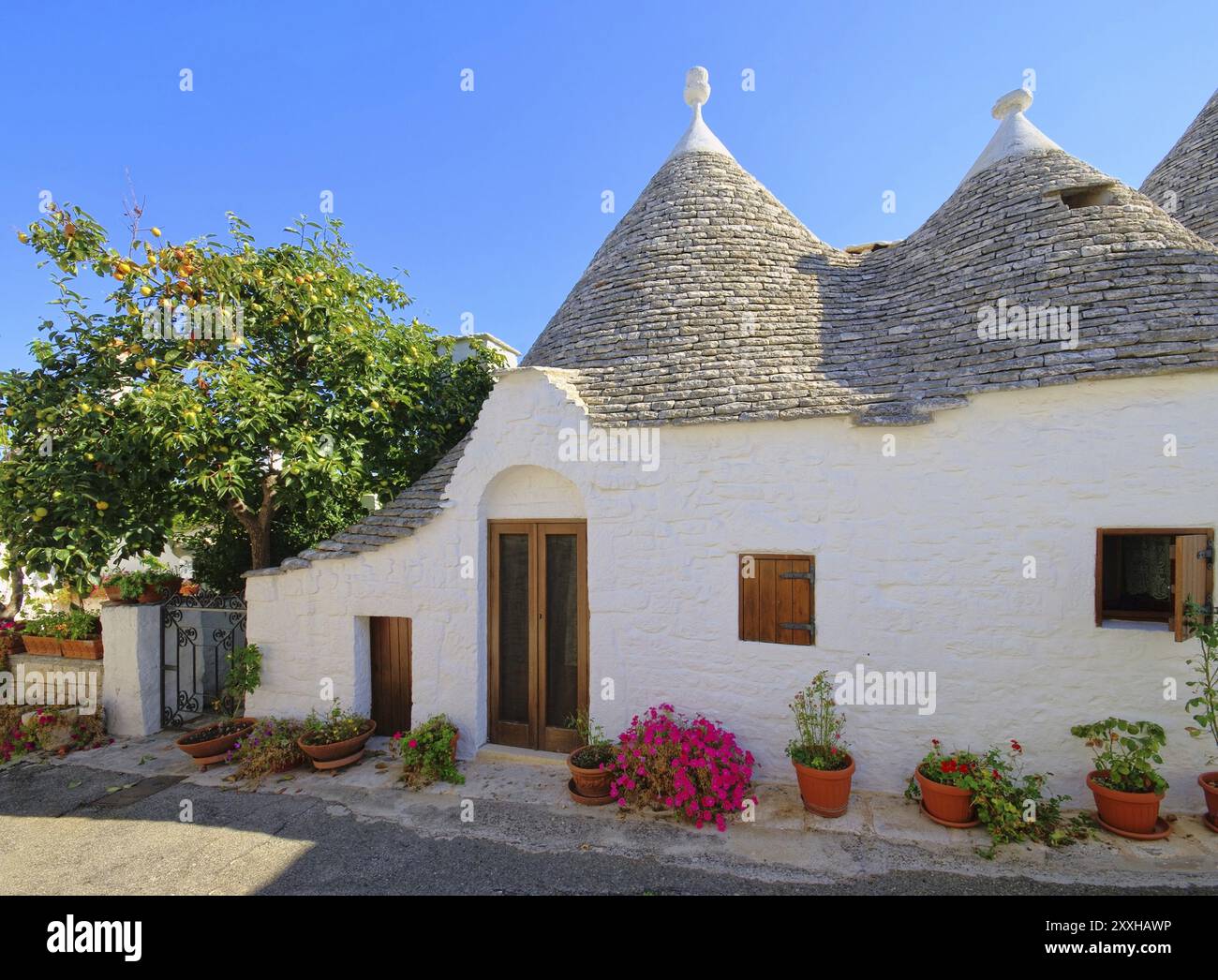 Trulli flower hi-res stock photography and images - Alamy