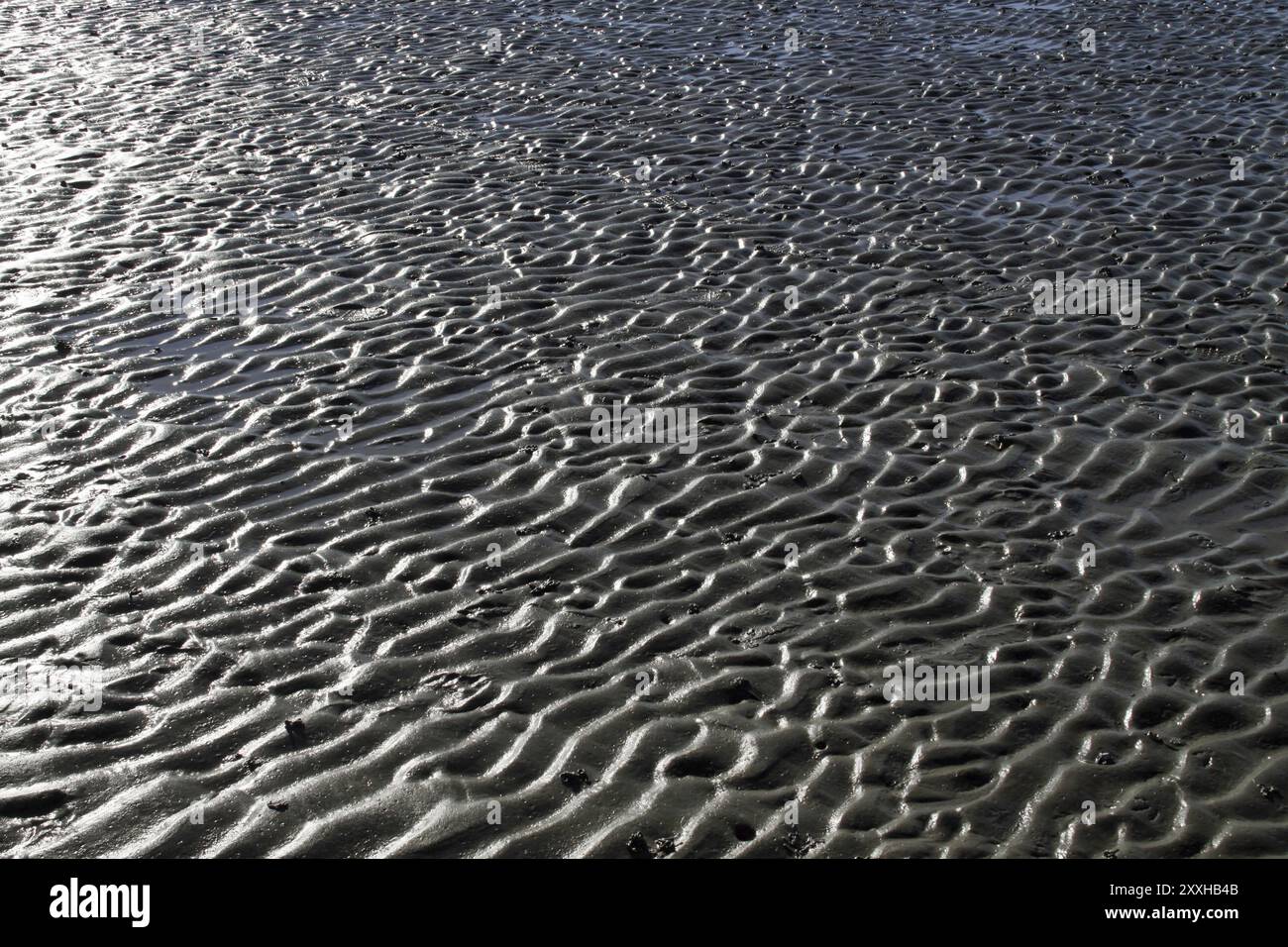 Mudflat scene hi-res stock photography and images - Alamy
