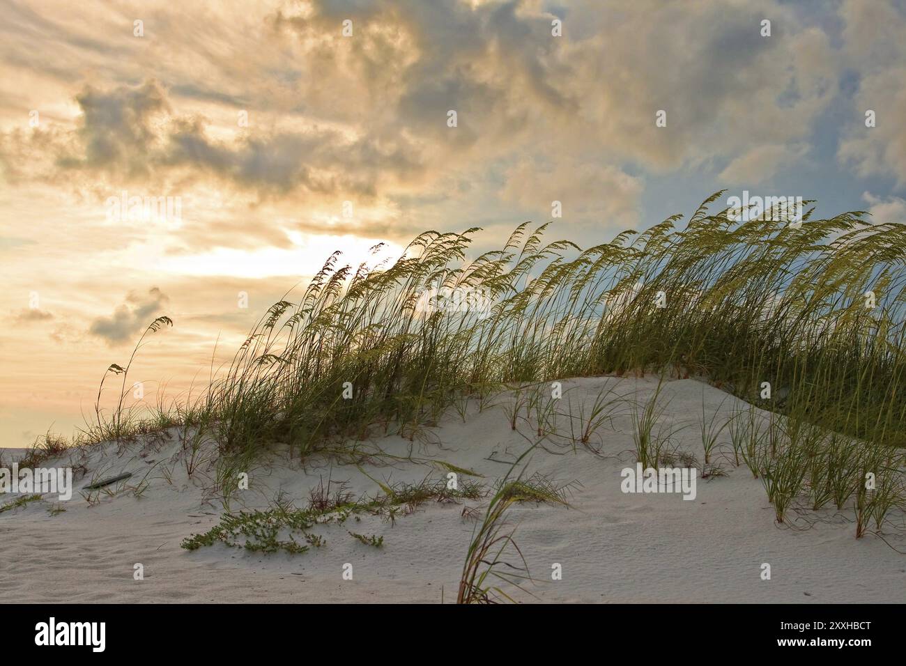 Sand dune ripples near ocean with red sunset sky Stock Photo - Alamy