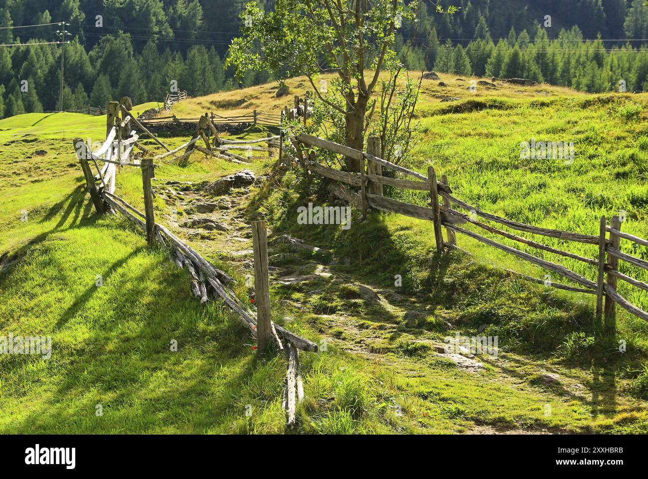 Field Path Cart Track 03 Stock Photo Alamy