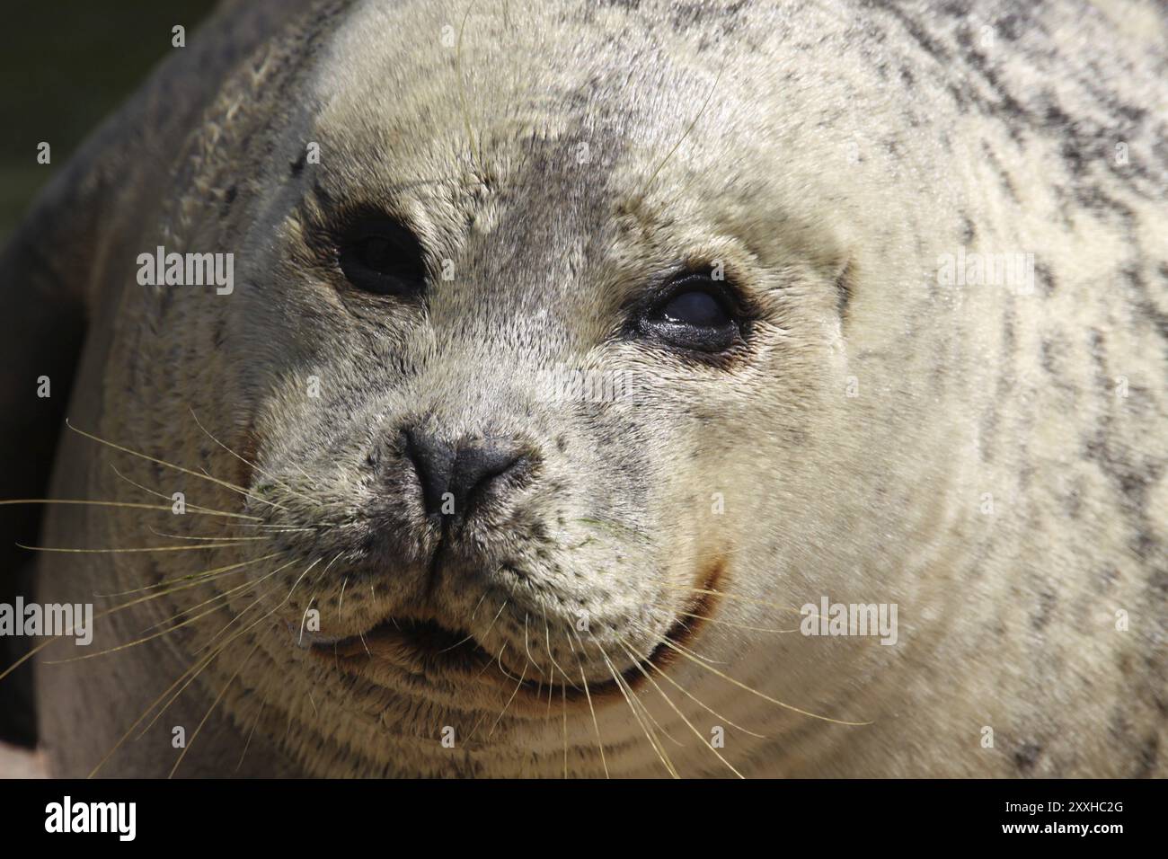 True sport hi-res stock photography and images - Alamy