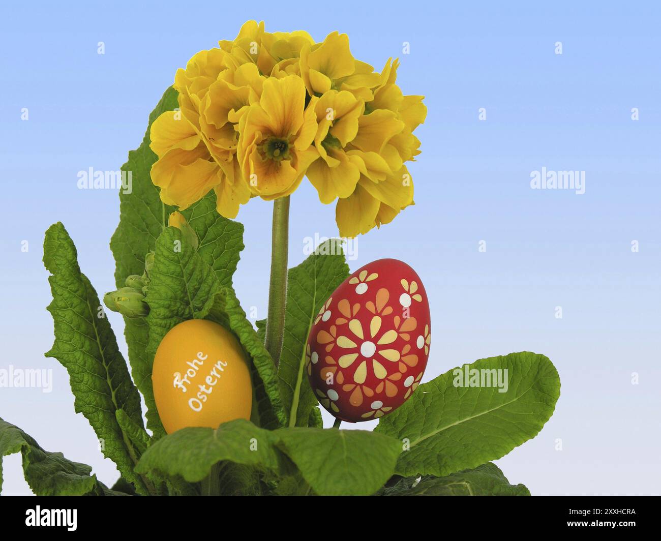 Cheerful easter hi-res stock photography and images - Alamy