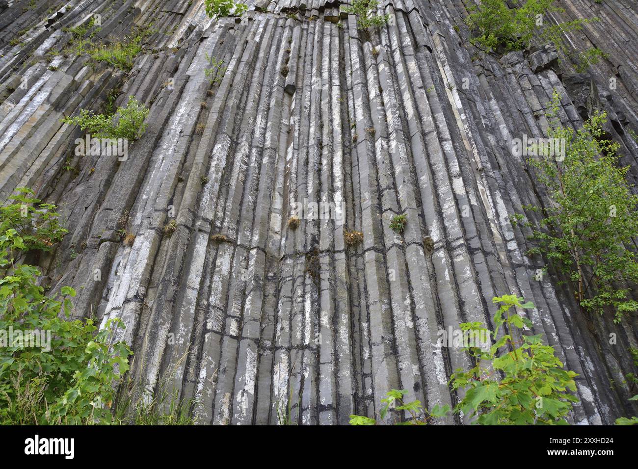 Basalt rock. Detail, geological. Zlaty vrch. The Goldberg in North ...