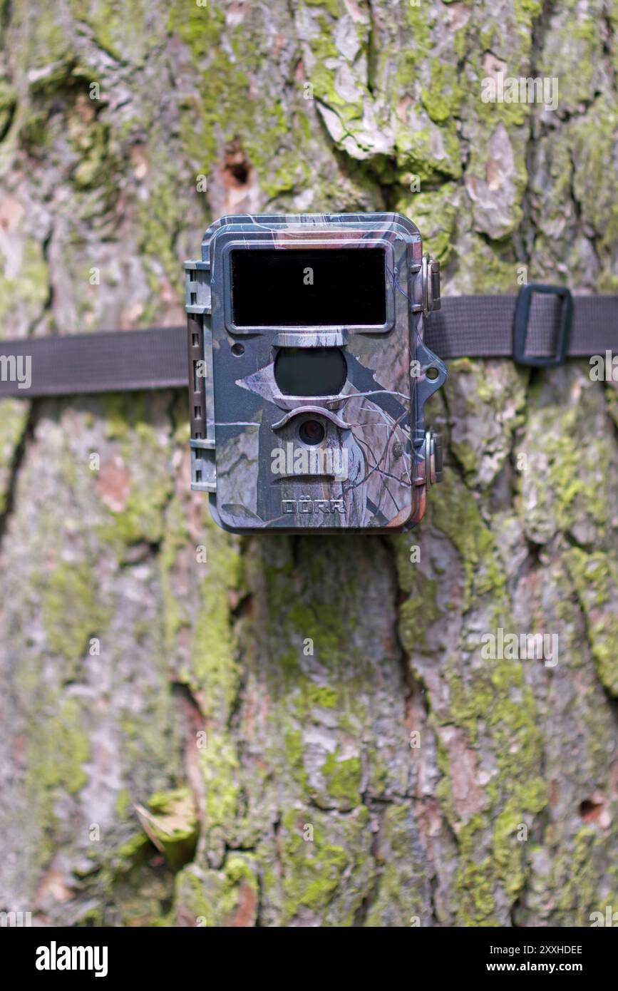 Wildife and camera hi-res stock photography and images - Alamy