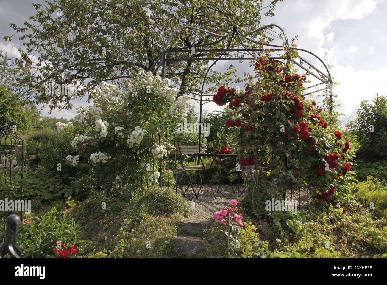 Climbing rose arbour hi-res stock photography and images - Alamy