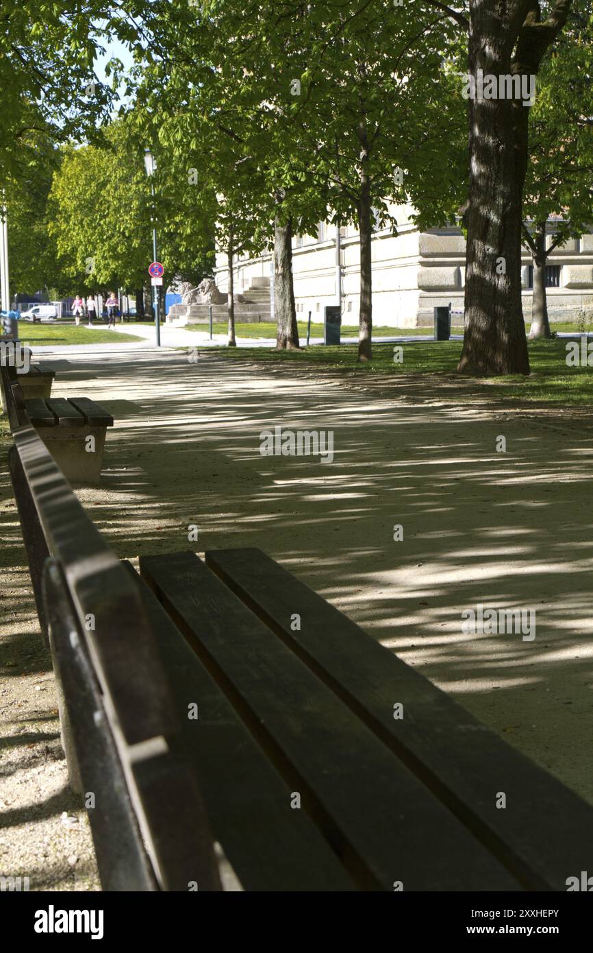 A municipal park in Munich with chestnut trees Stock Photo - Alamy