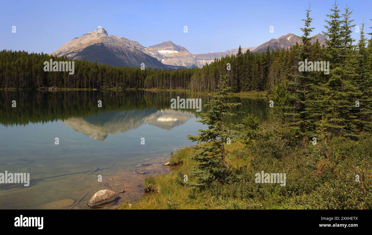 Herbert Lake in Banff National Park in Alberta Canada Stock Photo - Alamy